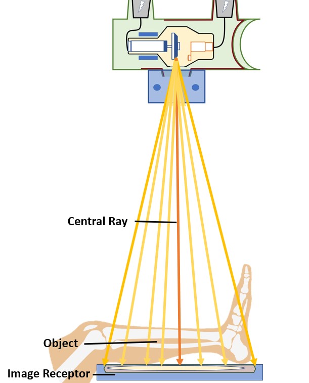 Radiographic Angulations Digital Radiographic Exposure Principles And Practice