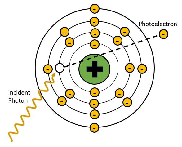 From X-Ray Beam to Image Signal – Digital Radiographic Exposure ...